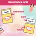 28 Body Parts Flash Cards | Digital Printable Body Cards Bundle ...
