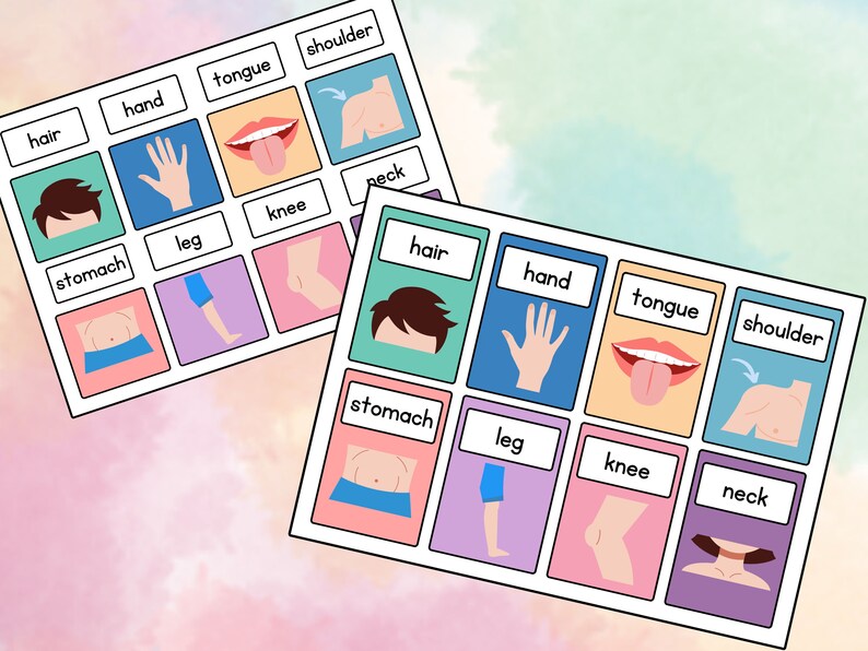 28 Body Parts Flash Cards Digital Printable Body Cards Bundle Toddler ...