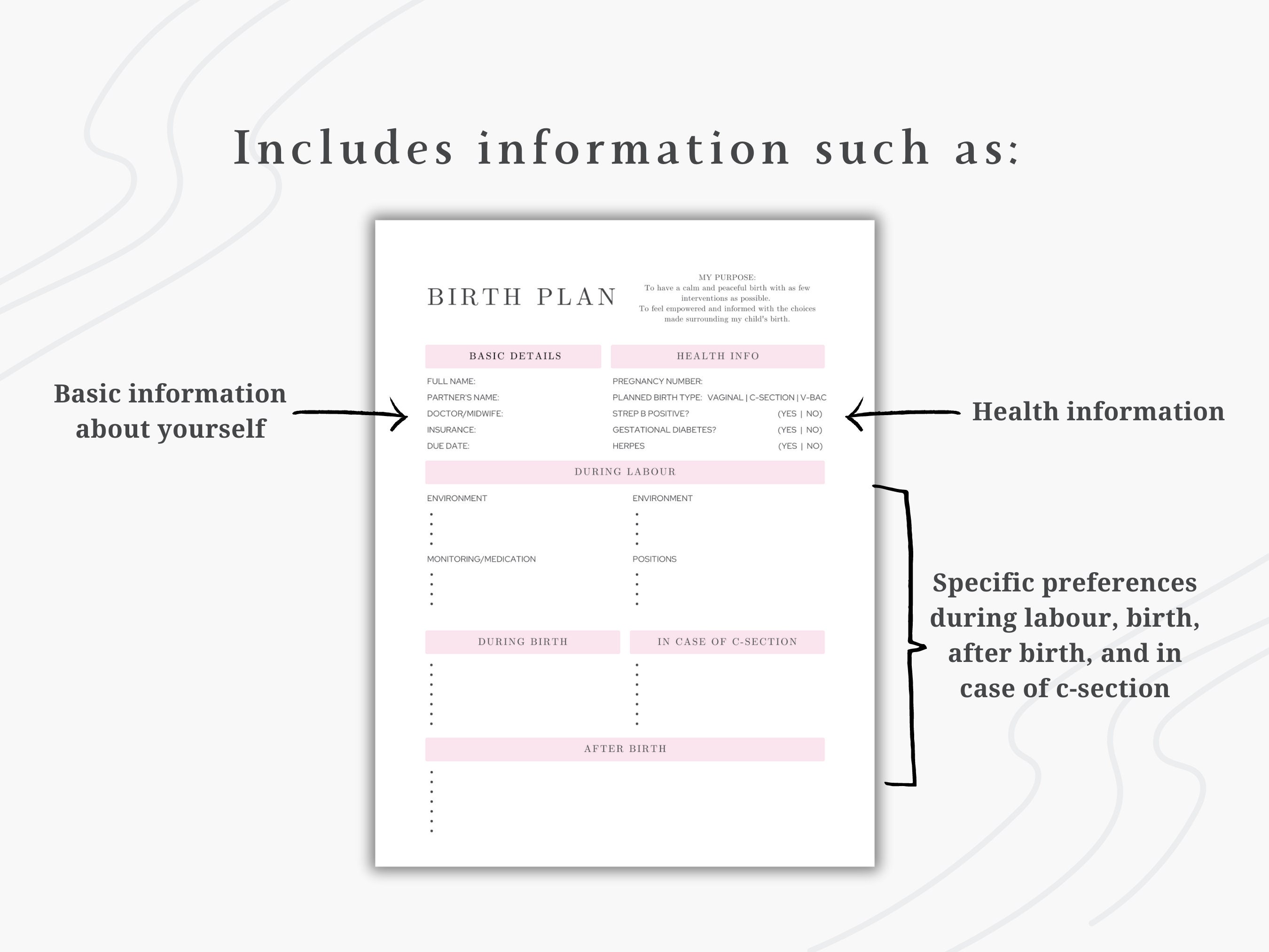 EDITABLE Birth Plan Template Canva Template, Printable Pink & Blue ...