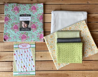 Constance Quilt Kit by Robin Pickens for Moda - Etsy