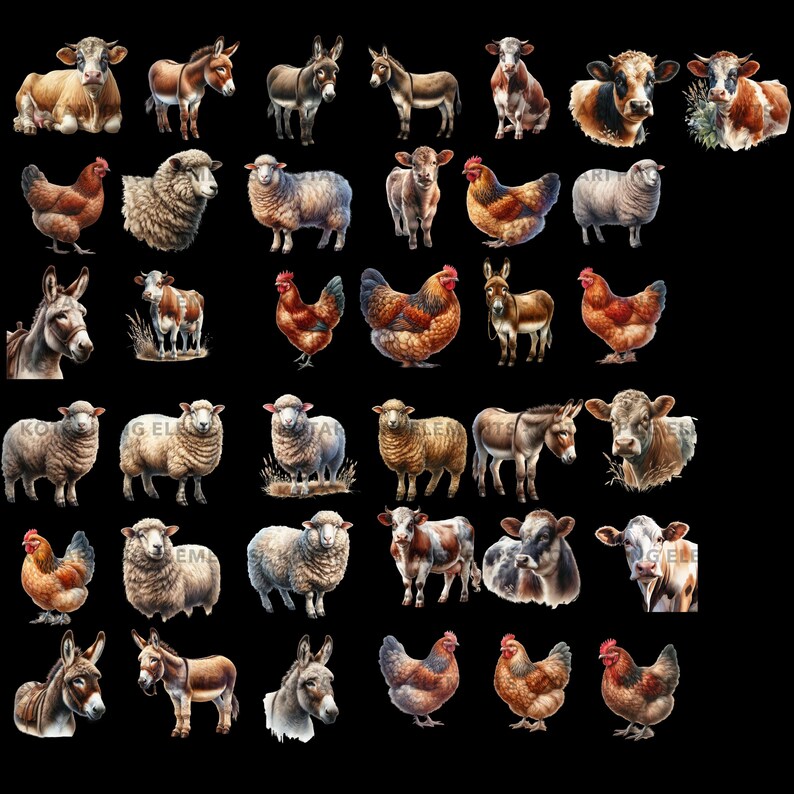 Realistic Farm Animals - Transparent PNG Clipart - Commercial Use - Etsy