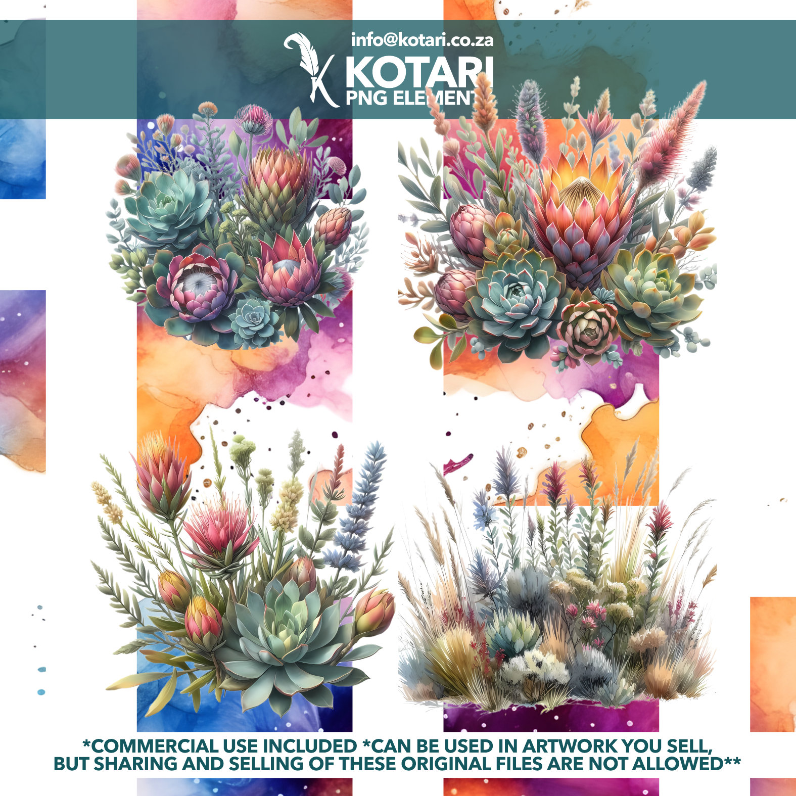 Watercolor Fynbos - Transparent PNG Clipart - Commercial Use - Etsy