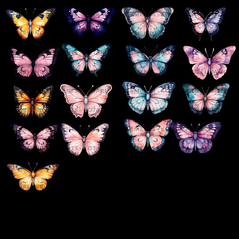 Butterflies - Transparent PNG Clipart - Commercial Use - Etsy