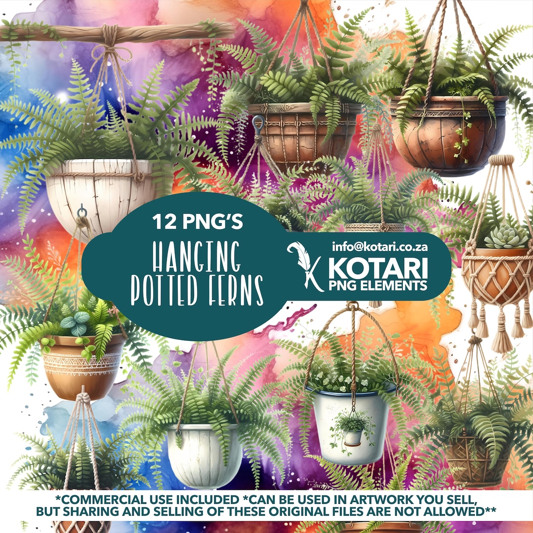 Hanging Potted Fern - Transparent PNG Clipart - Commercial Use - Etsy
