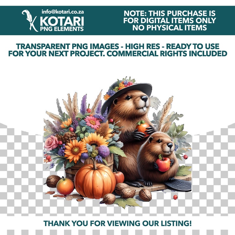 Beavers Transparent PNG Clipart Commercial Use - Etsy