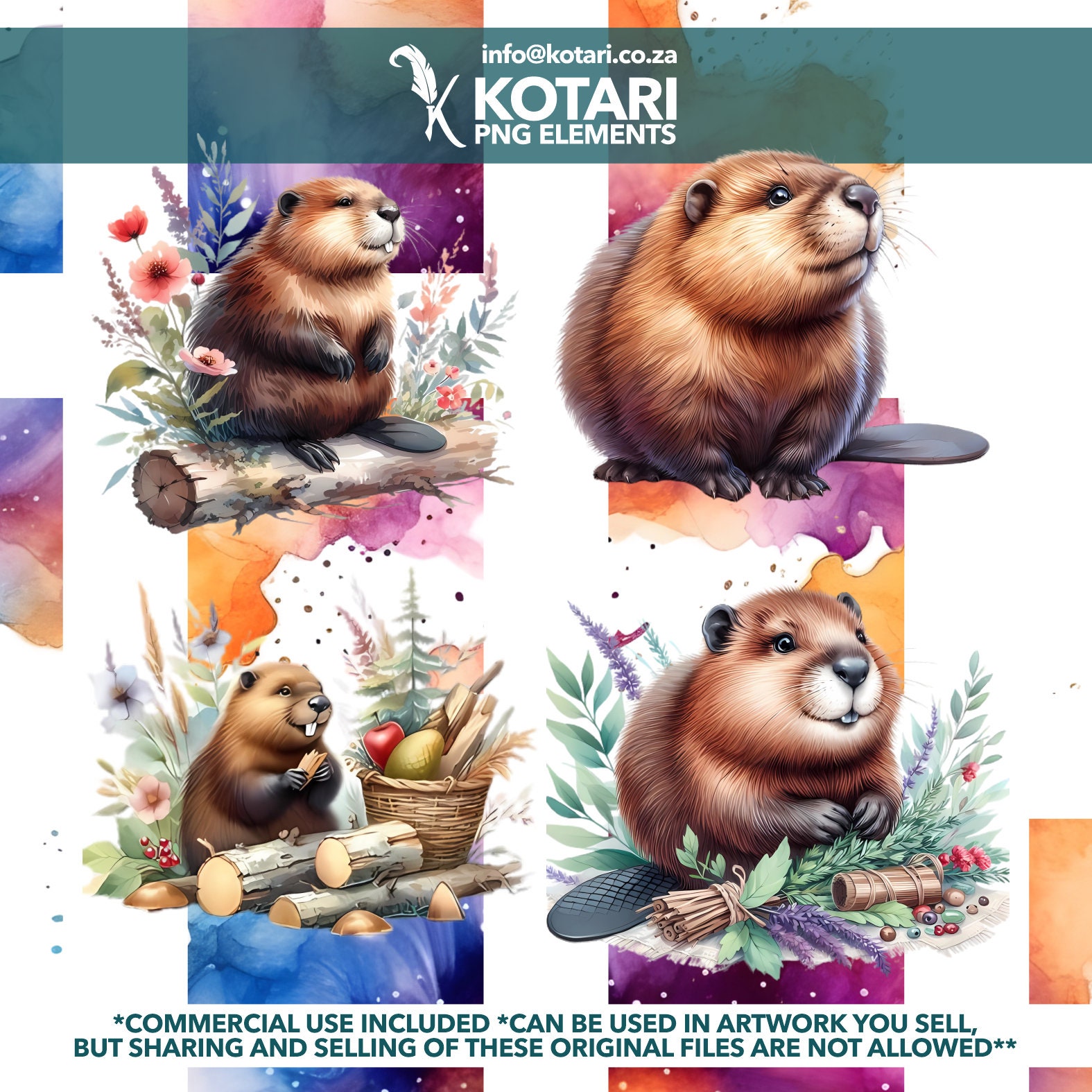 Beavers Transparent PNG Clipart Commercial Use - Etsy