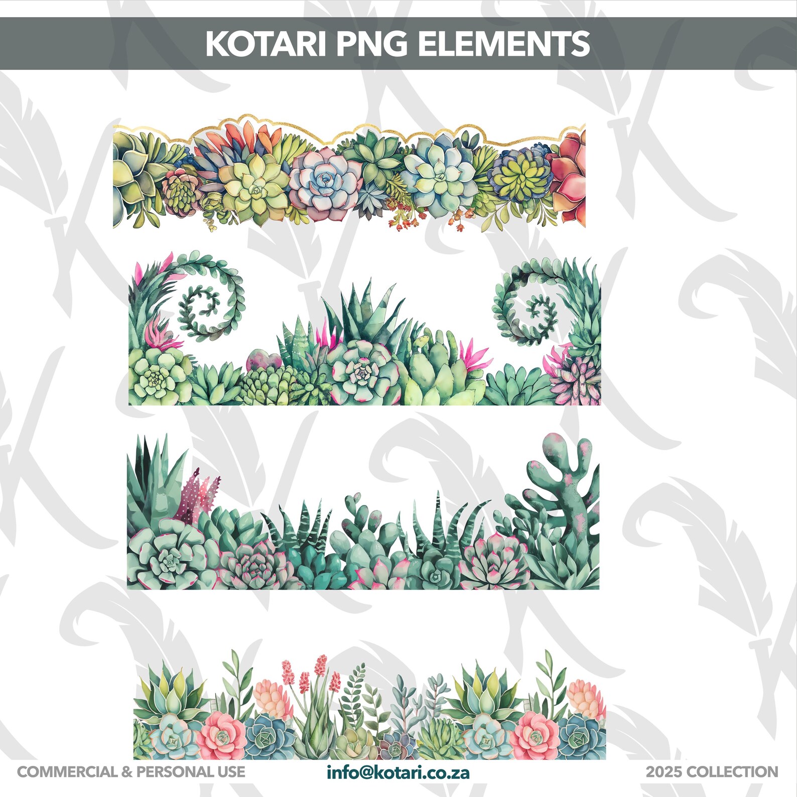 Succulent Borders - Transparent PNG Clipart - Commercial Use - Etsy