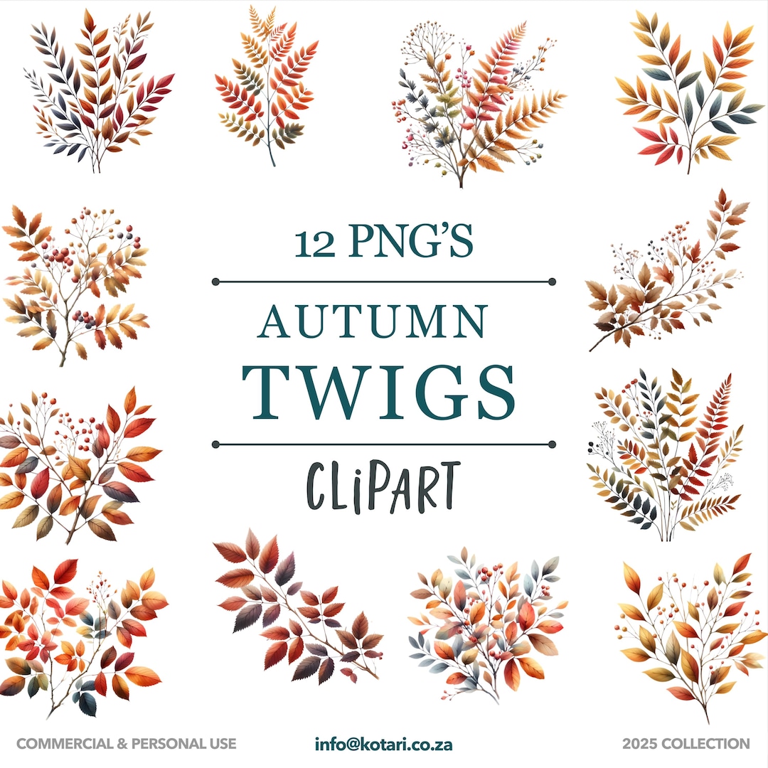 Autumn Twigs - Transparent PNG Clipart - Commercial Use - Etsy