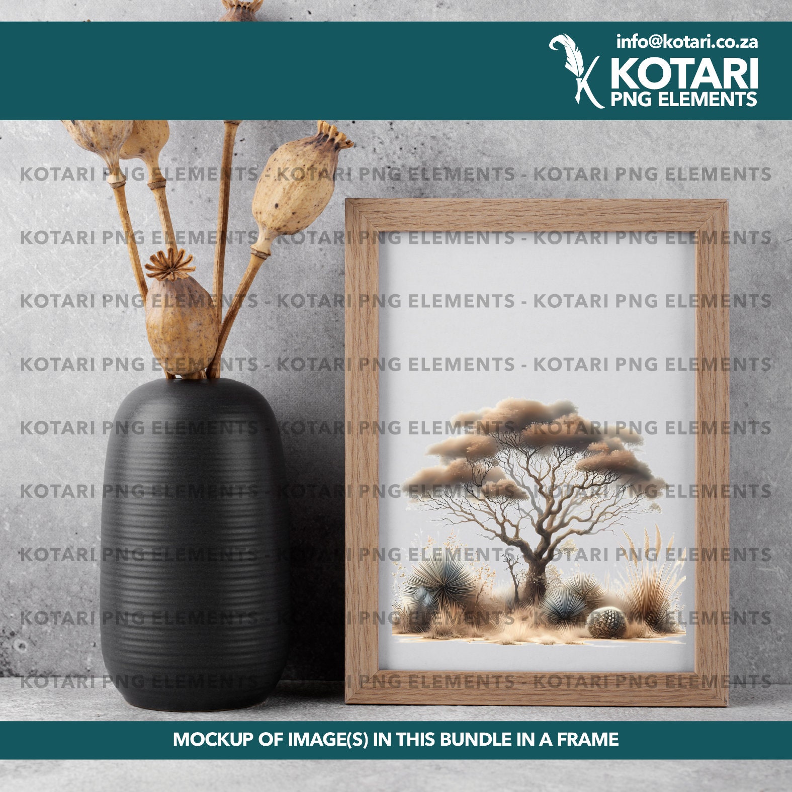 Bushveld Trees Transparent PNG Clipart Commercial Use - Etsy