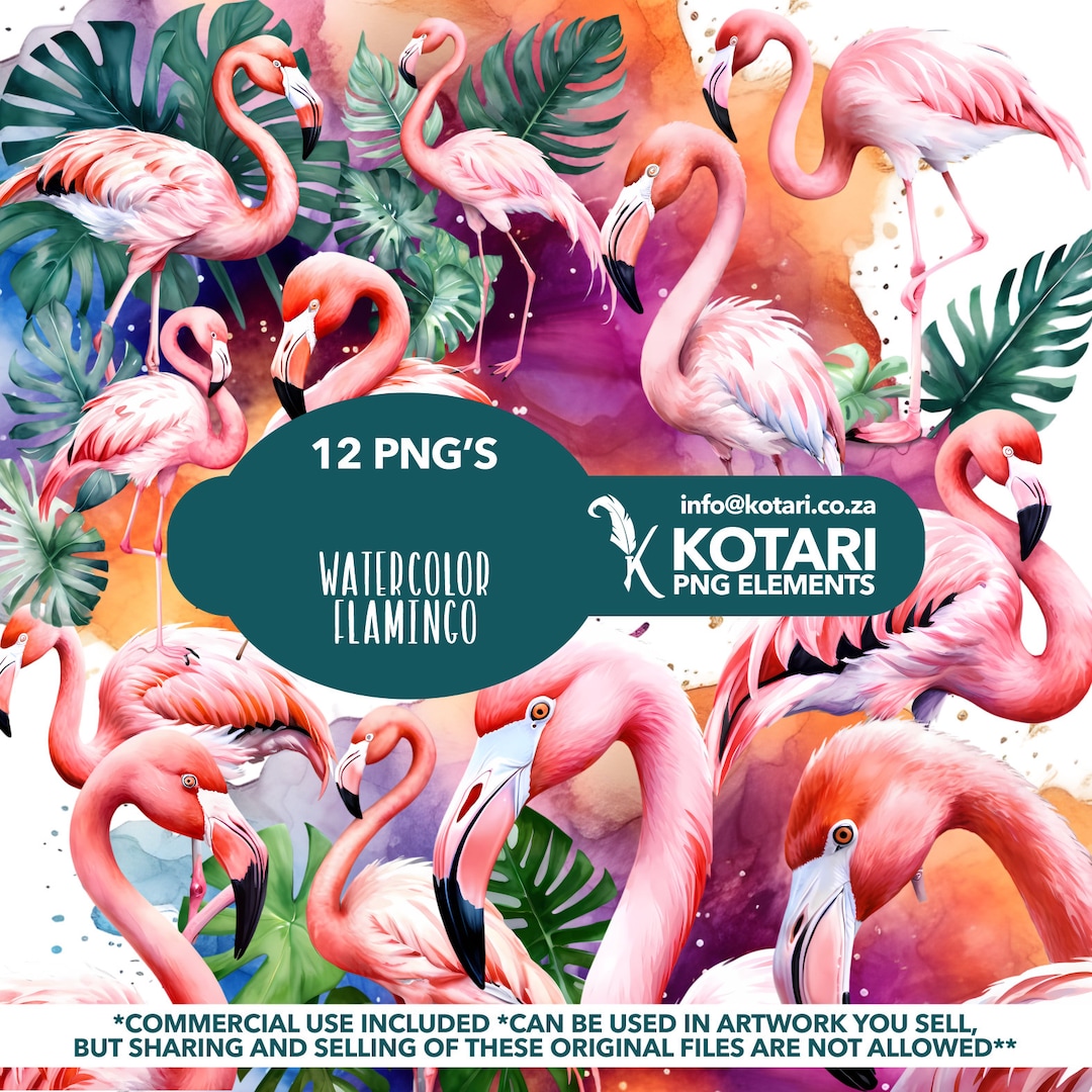 Flamingo - Transparent PNG Clipart - Commercial Use - Etsy