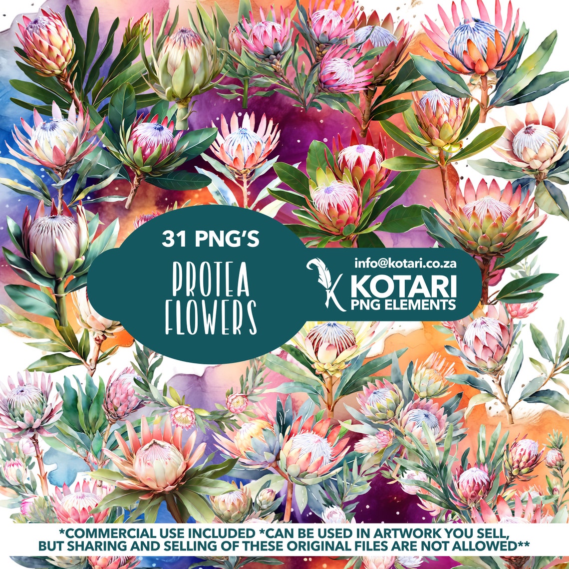 Proteas Transparent PNG Clipart Commercial Use - Etsy