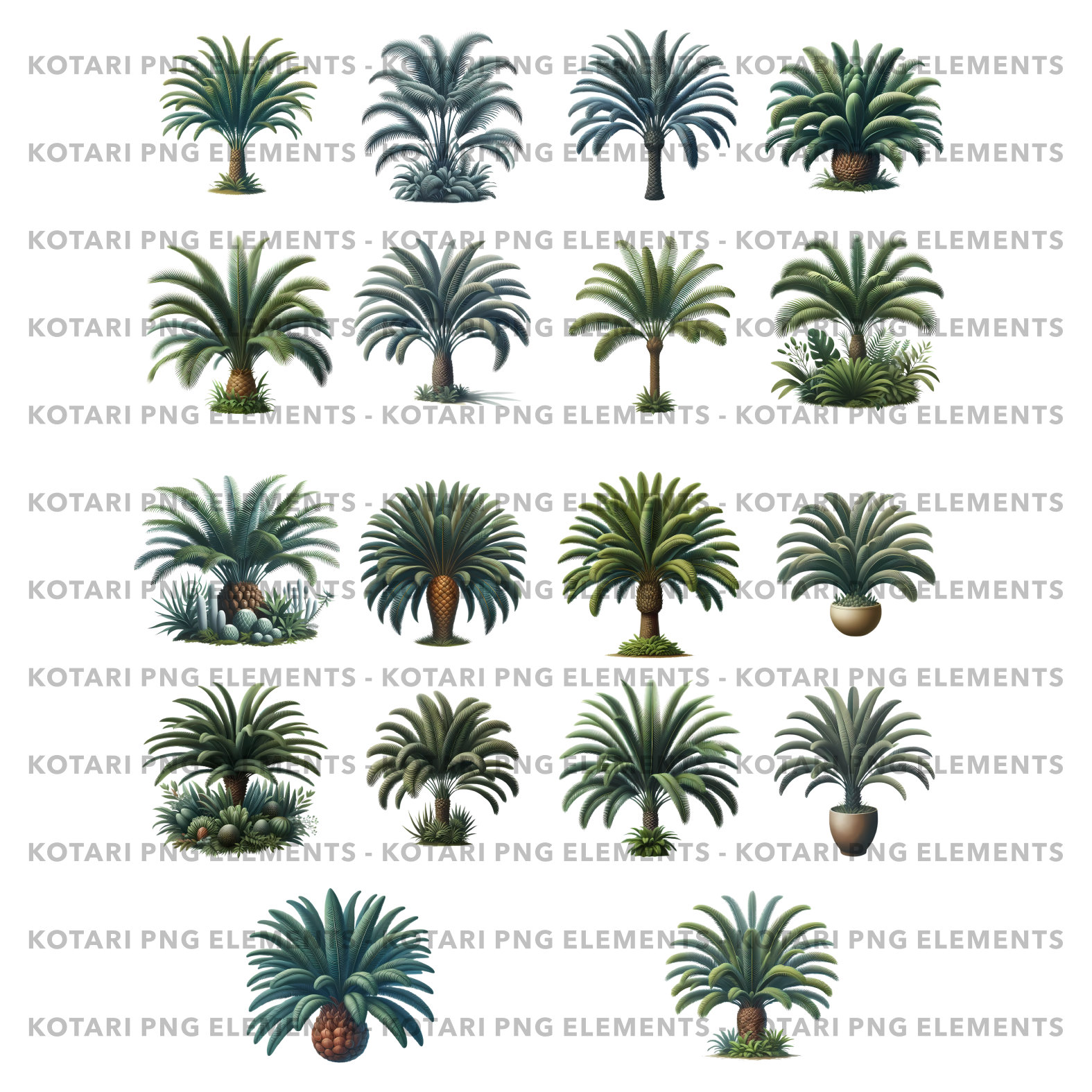 Watercolor Cycads - Transparent PNG Clipart - Commercial Use - Etsy