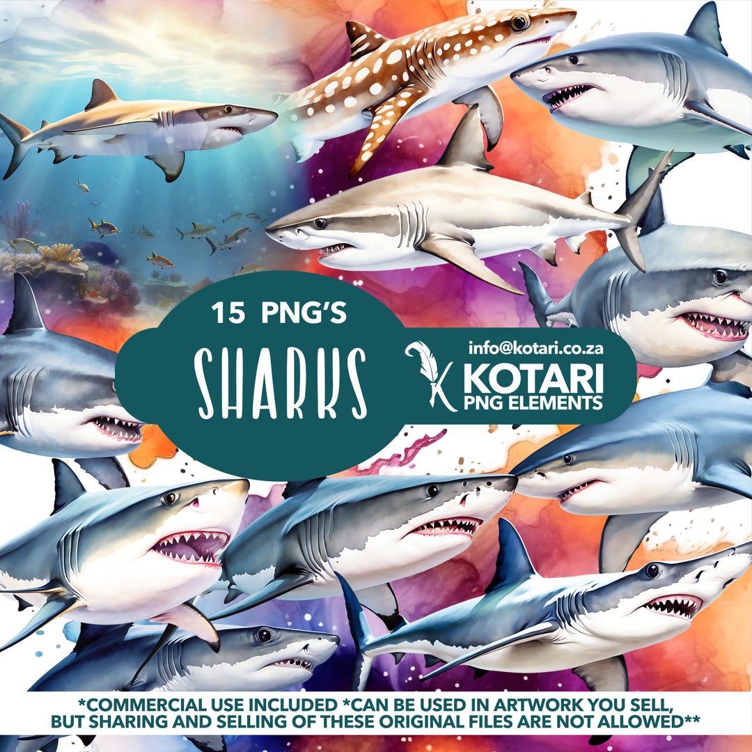 Sharks - Transparent PNG Clipart - Commercial Use - Etsy