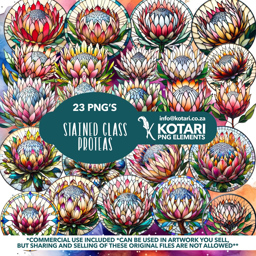Stained Glass Proteas - Transparent PNG Clipart - Commercial Use - Etsy