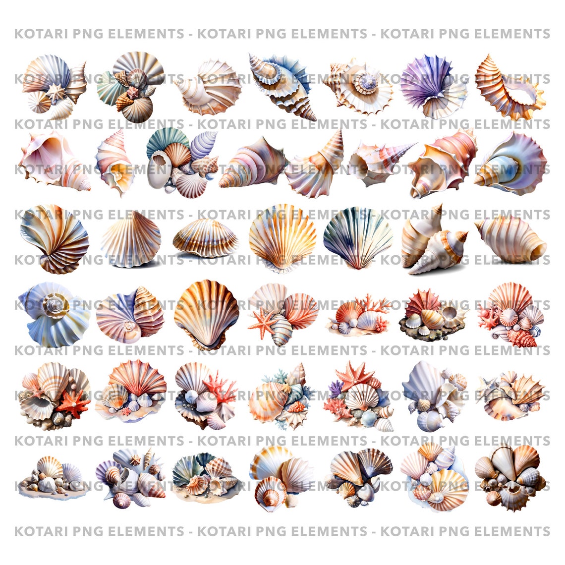 Sea Shells Transparent PNG Clipart Commercial Use - Etsy