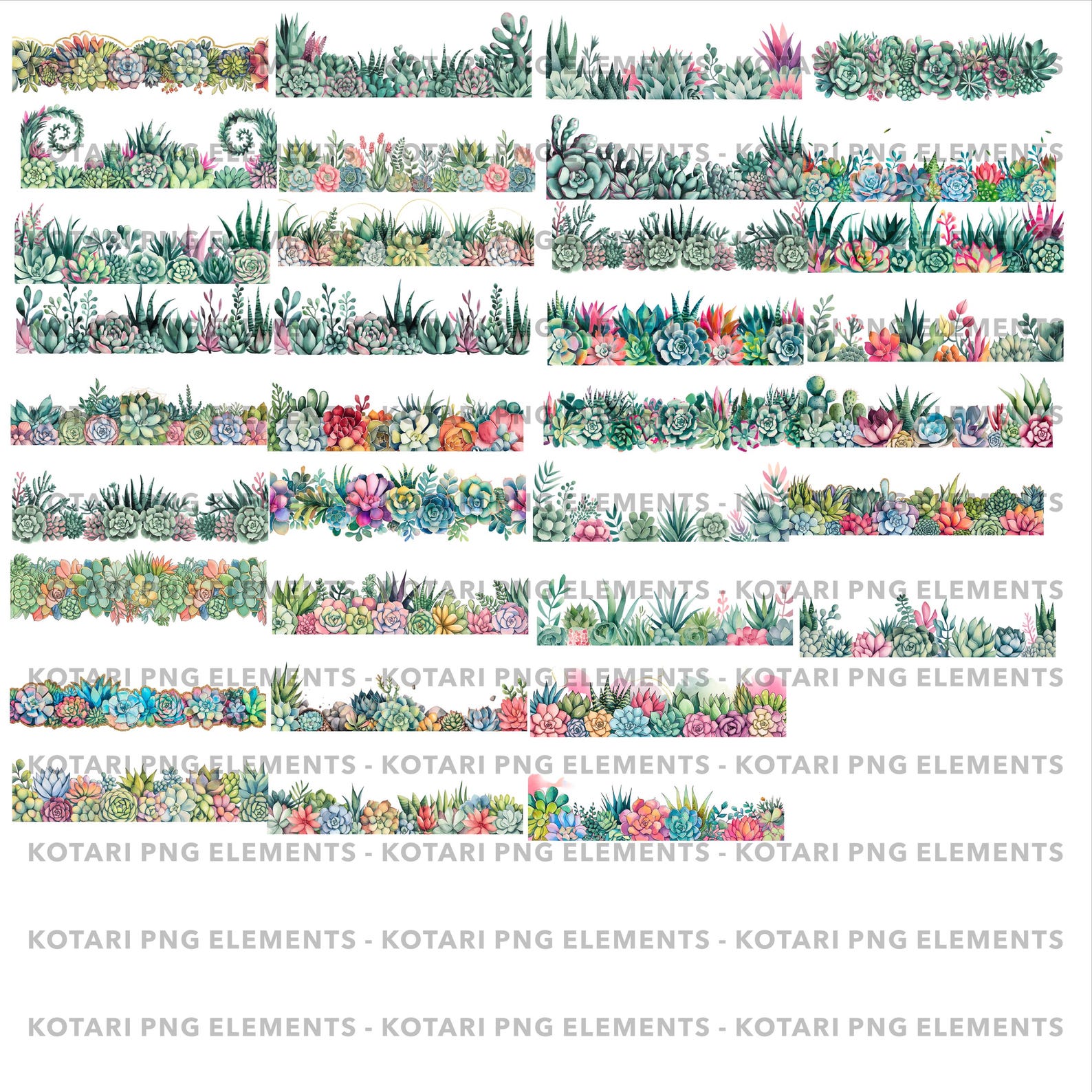 Succulent Borders - Transparent PNG Clipart - Commercial Use - Etsy