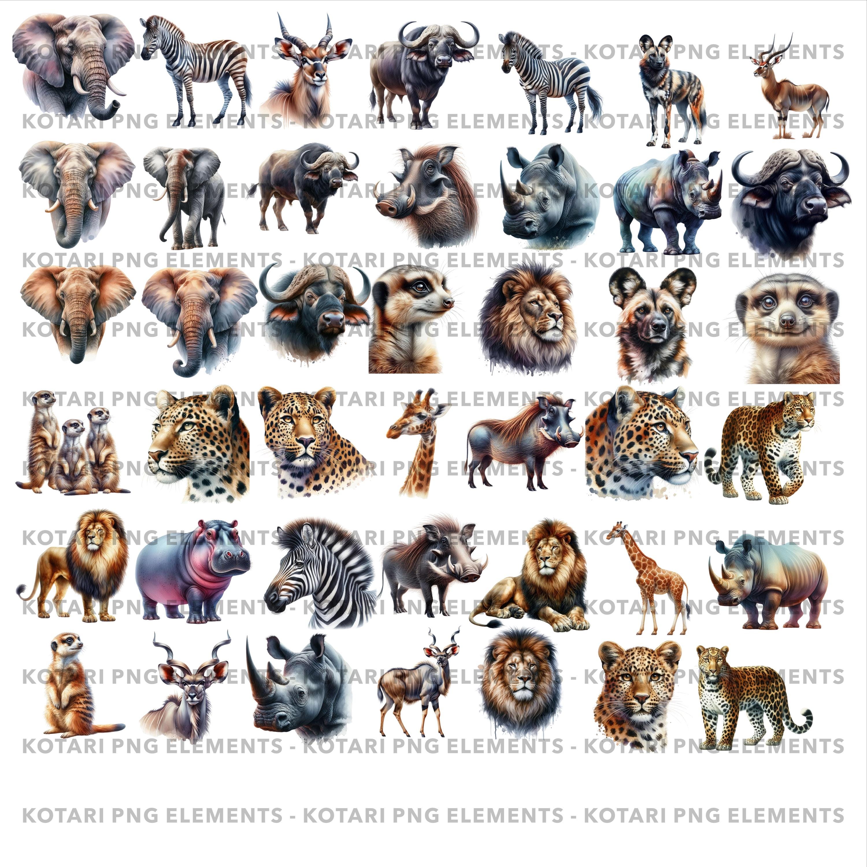 African Safari Animals - Transparent PNG Clipart - Commercial Use - Etsy