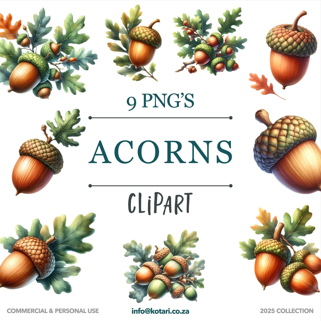 Acorns - Transparent PNG Clipart - Commercial Use - Etsy
