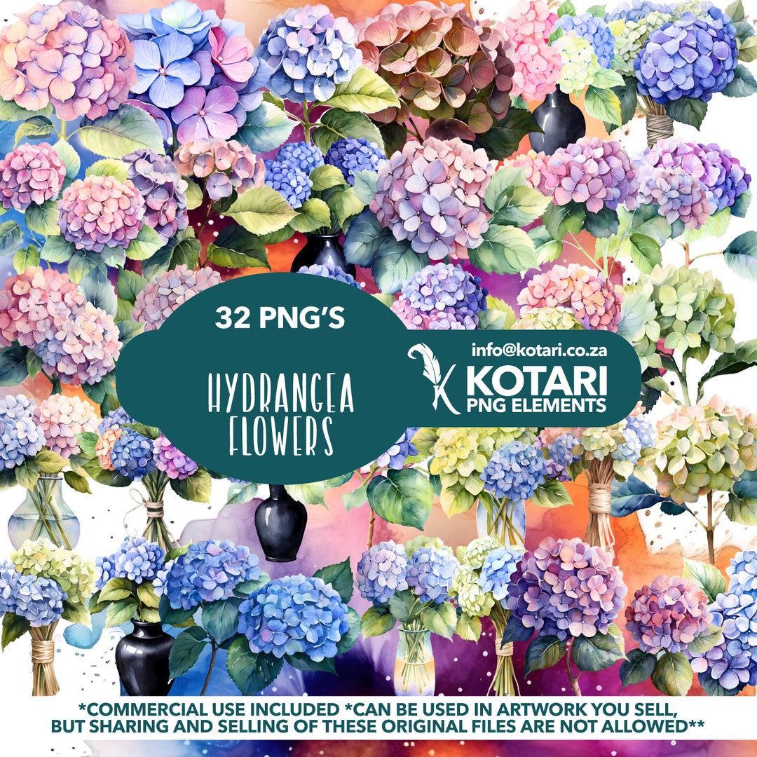Hydrangea - Transparent PNG Clipart - Commercial Use - Etsy