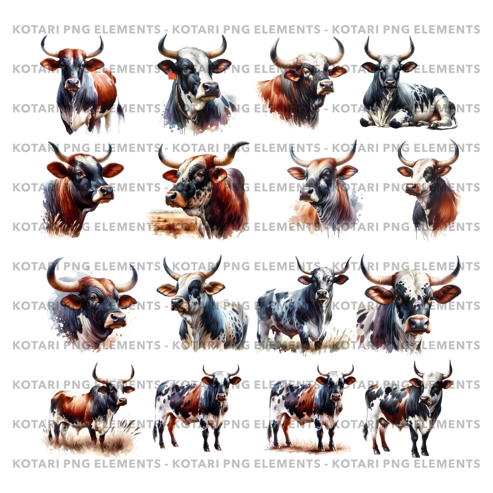 Nguni Cows - Transparent PNG Clipart - Commercial Use - Etsy