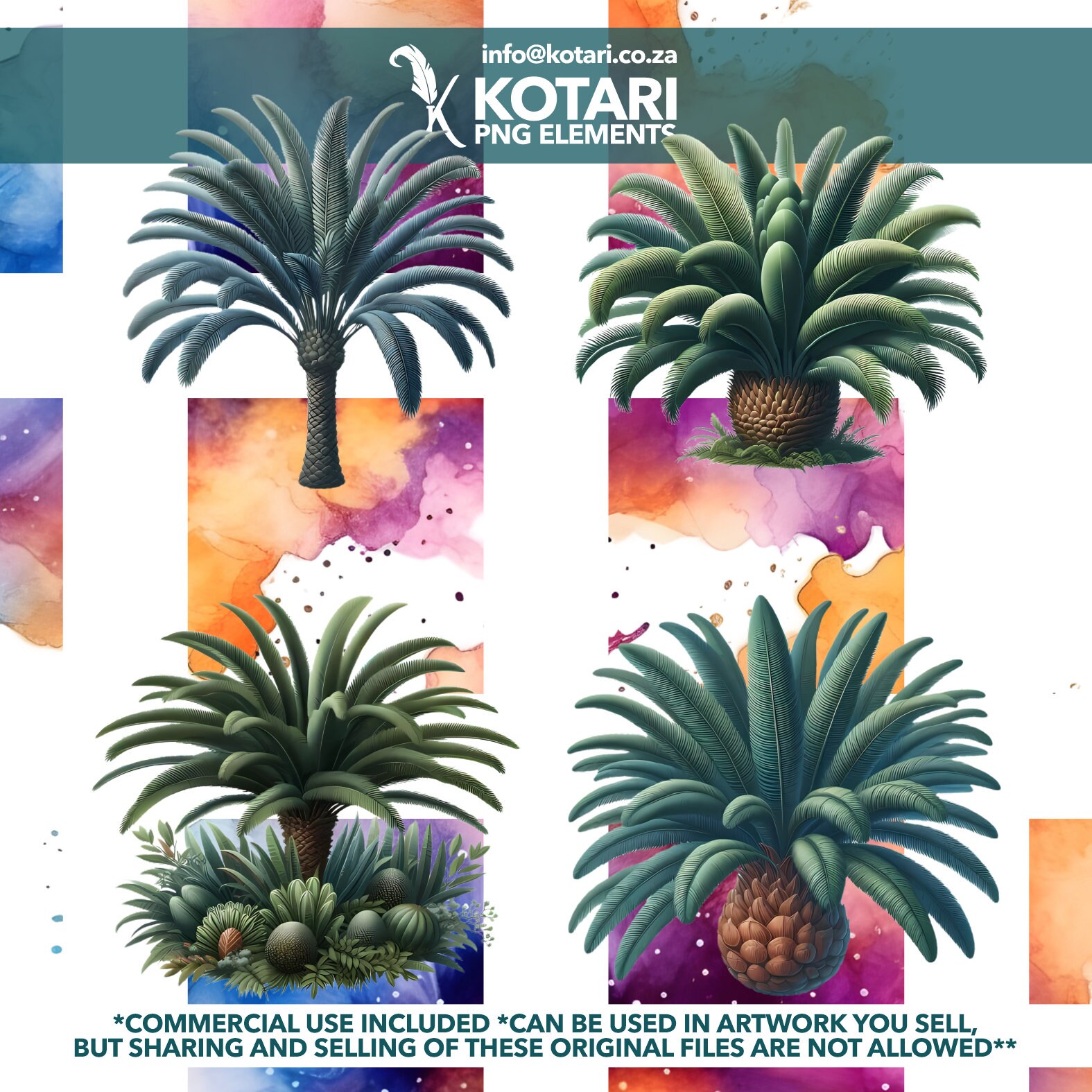 Watercolor Cycads Transparent PNG Clipart Commercial Use - Etsy