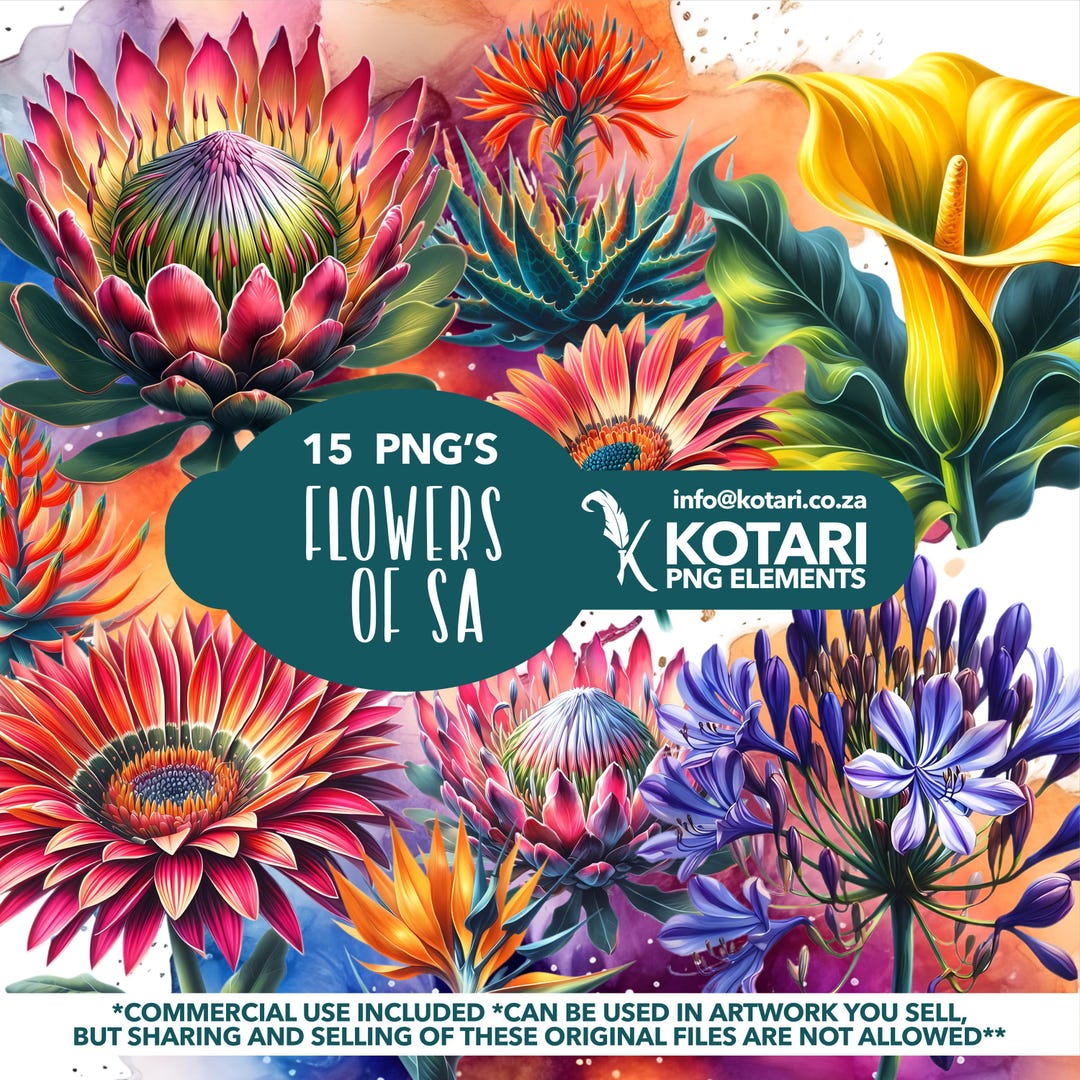 SA Flowers - Transparent PNG Clipart - Commercial Use - Etsy