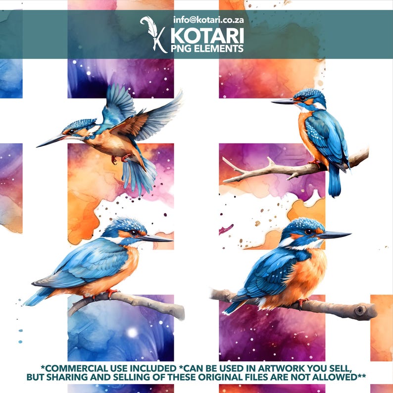 Kingfisher - Transparent PNG Clipart - Commercial Use - Etsy