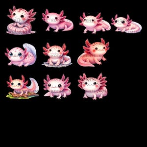 Cute Axolotl - Transparent PNG Clipart - Commercial Use - Etsy