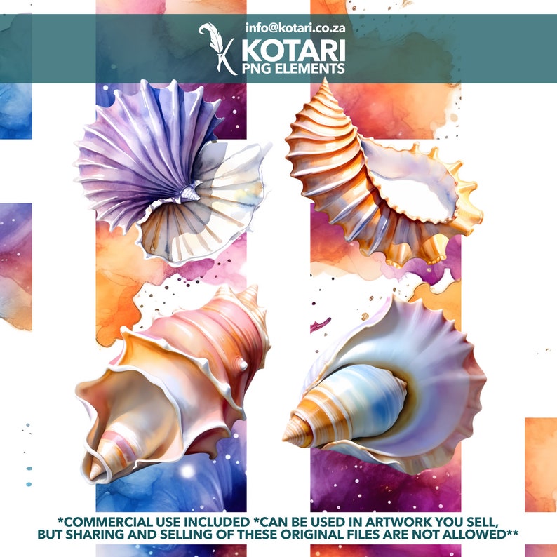 Sea Shells Transparent PNG Clipart Commercial Use - Etsy