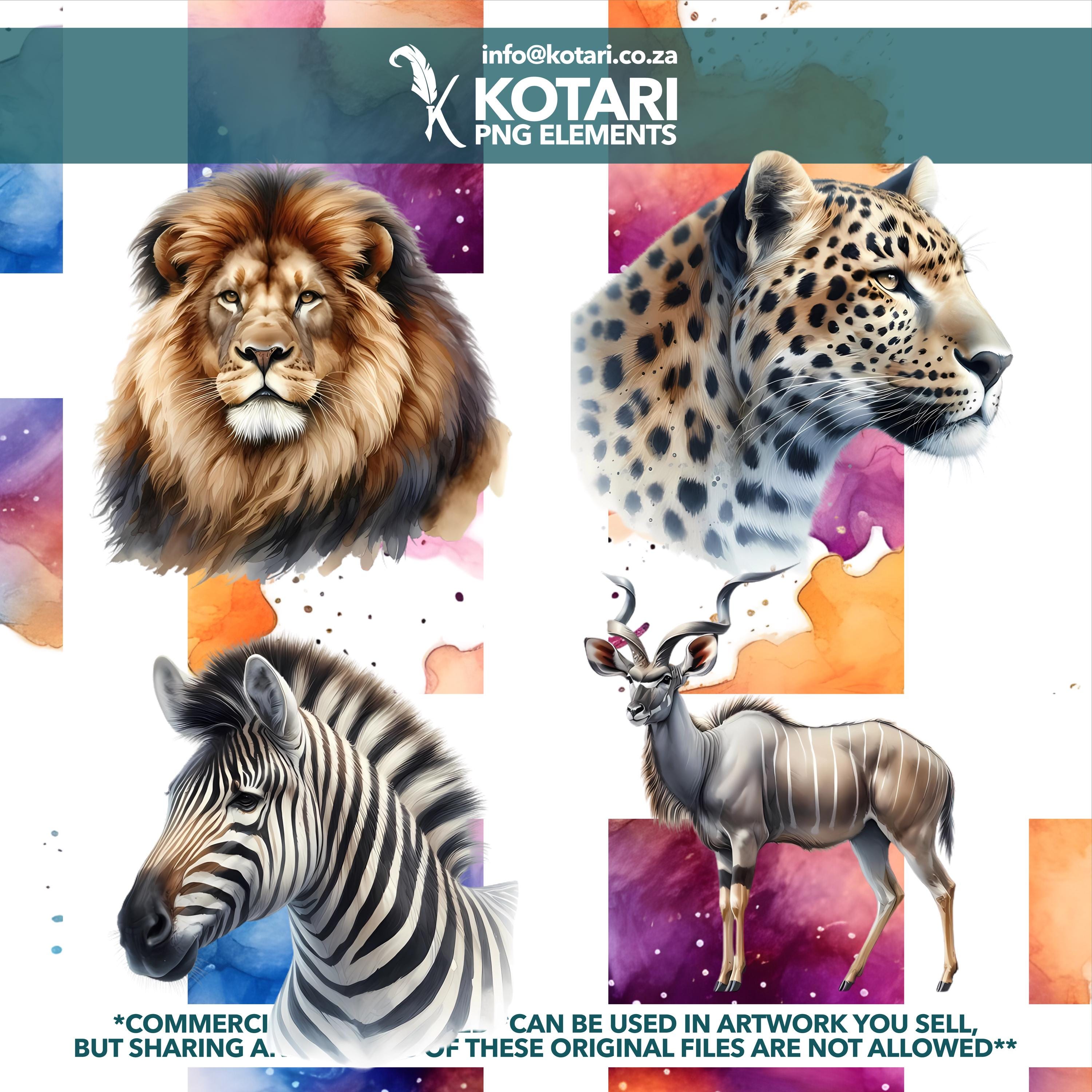 Safari Animals - Transparent PNG Clipart - Commercial Use - Etsy