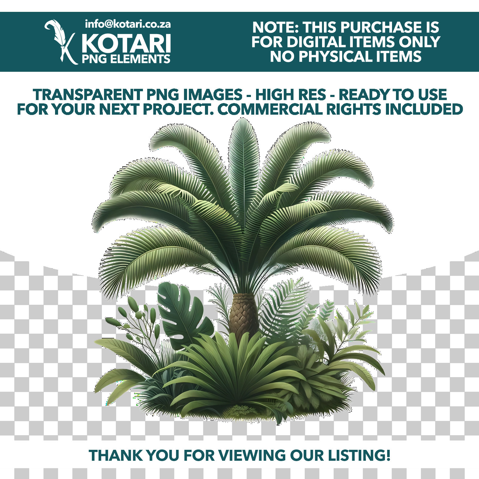 Watercolor Cycads Transparent PNG Clipart Commercial Use - Etsy