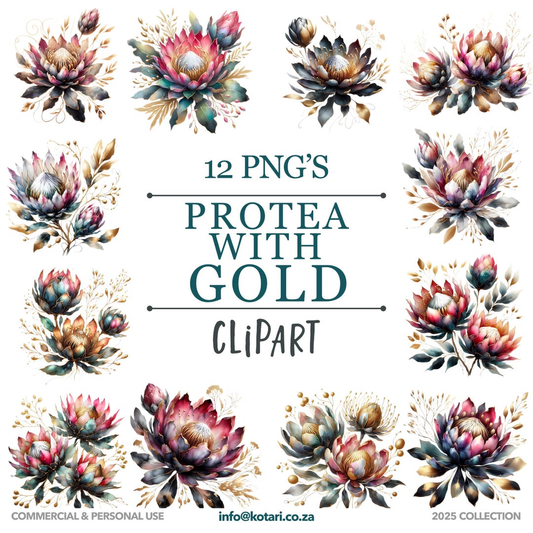 Protea With Gold - Transparent PNG Clipart - Commercial Use - Etsy