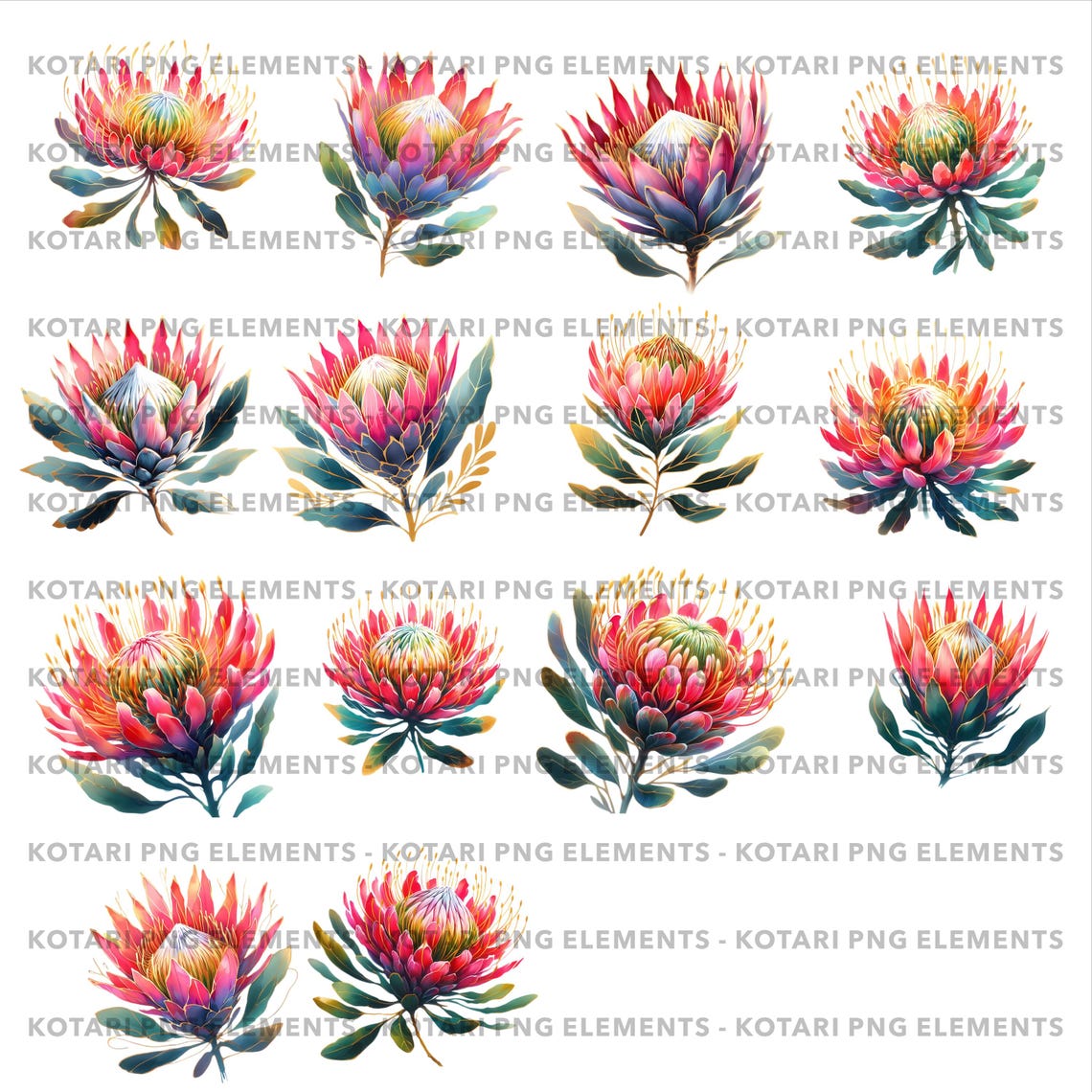 Gold Detail Proteas - Transparent PNG Clipart - Commercial Use - Etsy