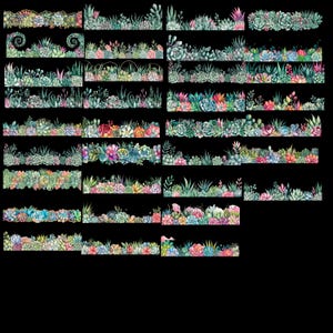 Succulent Borders - Transparent PNG Clipart - Commercial Use - Etsy