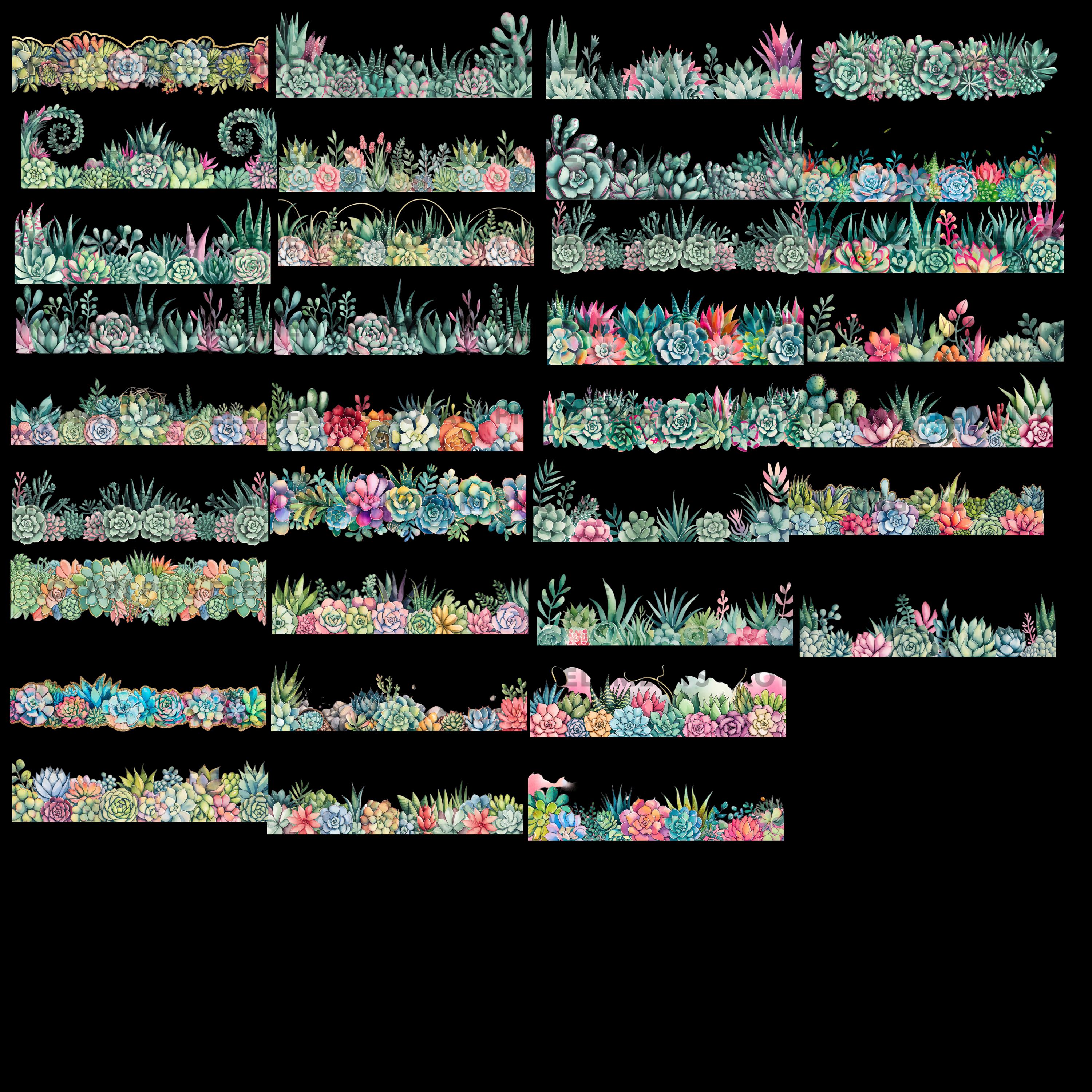 Succulent Borders - Transparent PNG Clipart - Commercial Use - Etsy