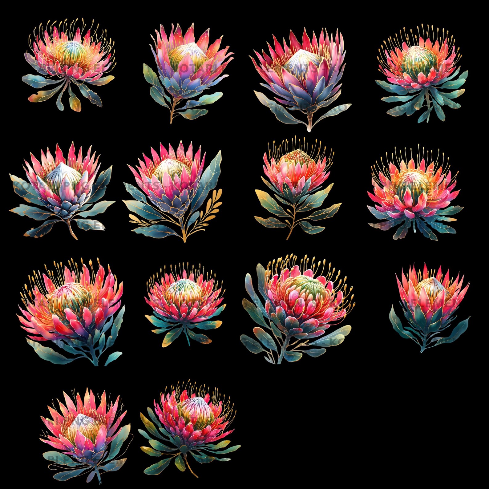 Gold Detail Proteas - Transparent PNG Clipart - Commercial Use - Etsy