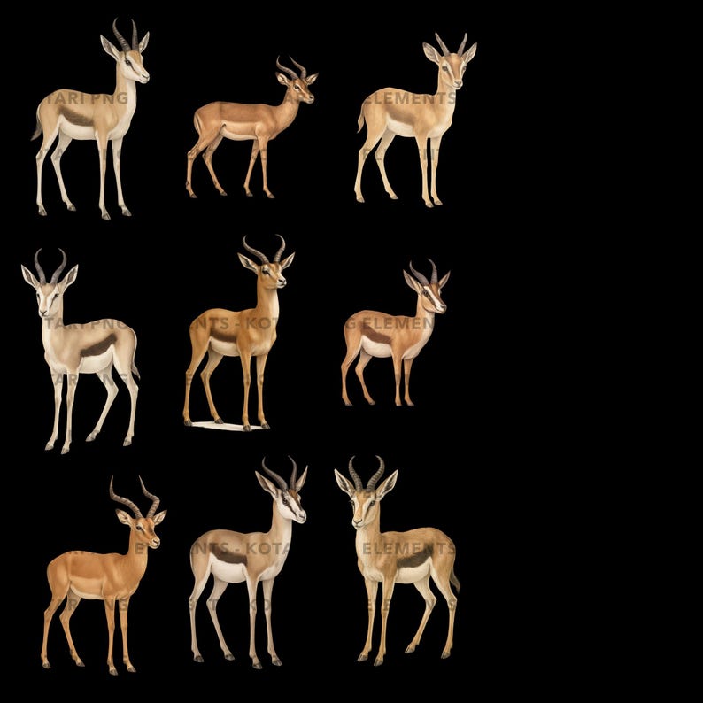 Springboks and Rooibok - Transparent PNG Clipart - Commercial Use - Etsy