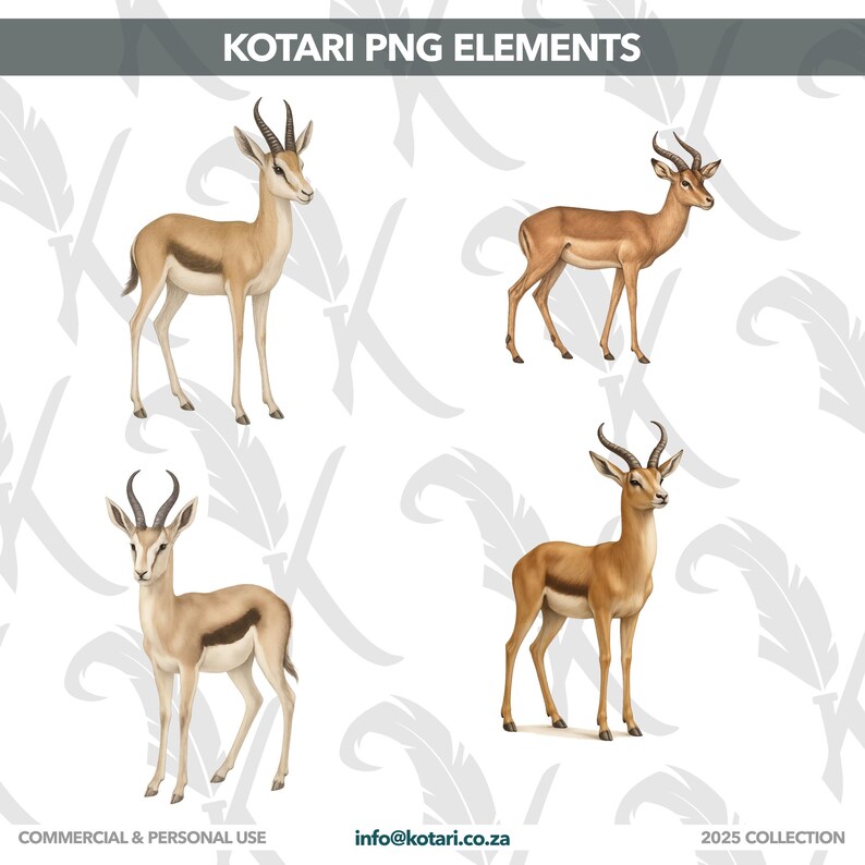 Springboks and Rooibok - Transparent PNG Clipart - Commercial Use - Etsy
