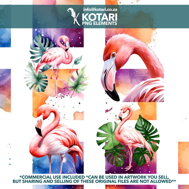 Flamingo - Transparent PNG Clipart - Commercial Use - Etsy
