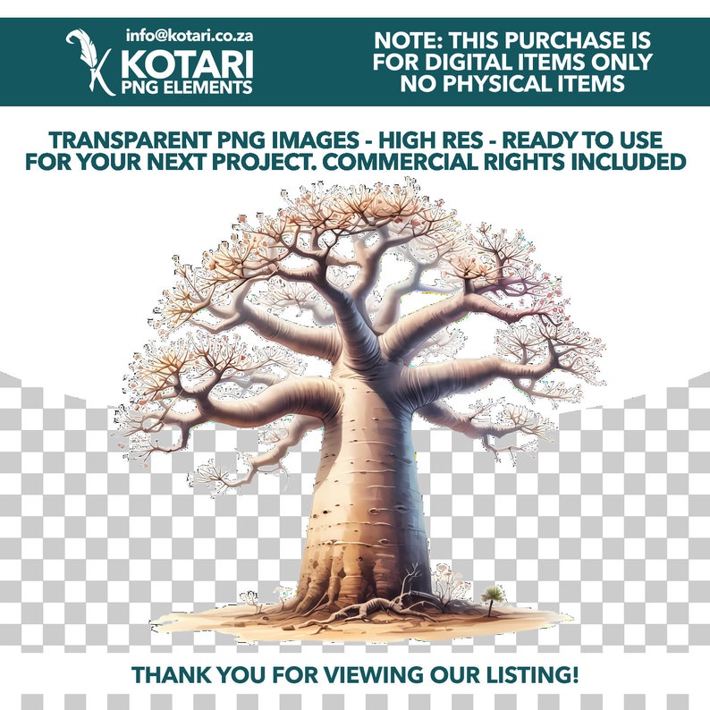 Baobab Trees Transparent PNG Clipart Commercial Use - Etsy