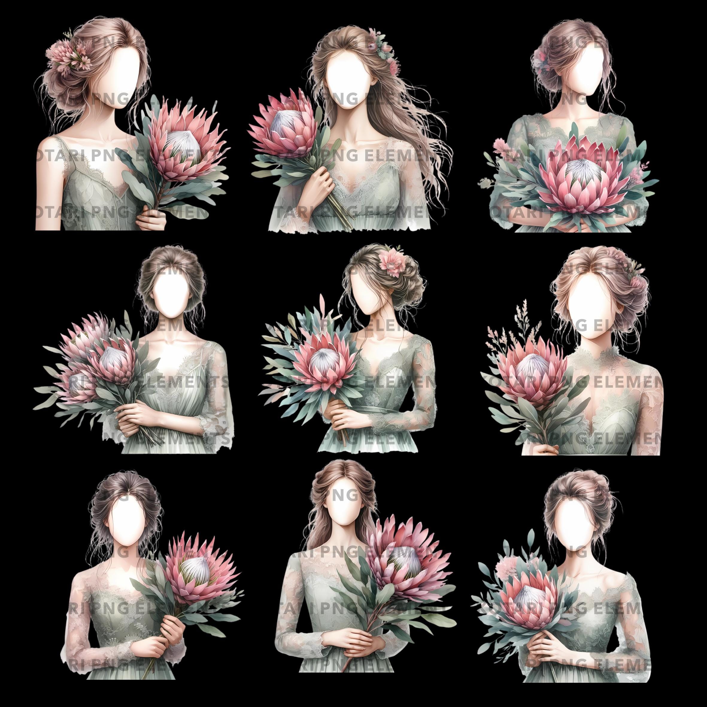 Faceless Woman With Proteas 2 - Transparent PNG Clipart - Commercial ...