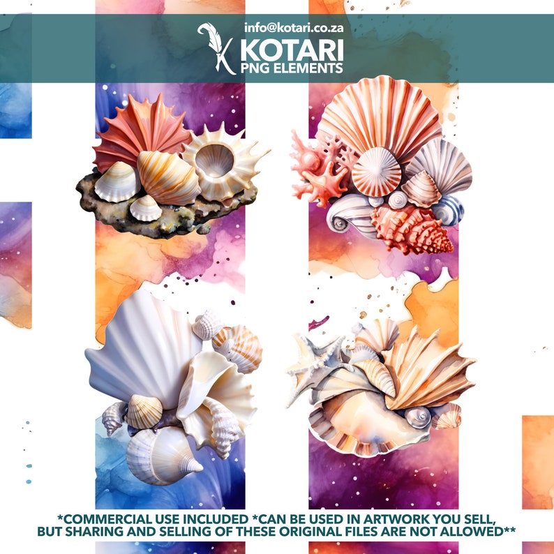 Sea Shells Transparent PNG Clipart Commercial Use - Etsy