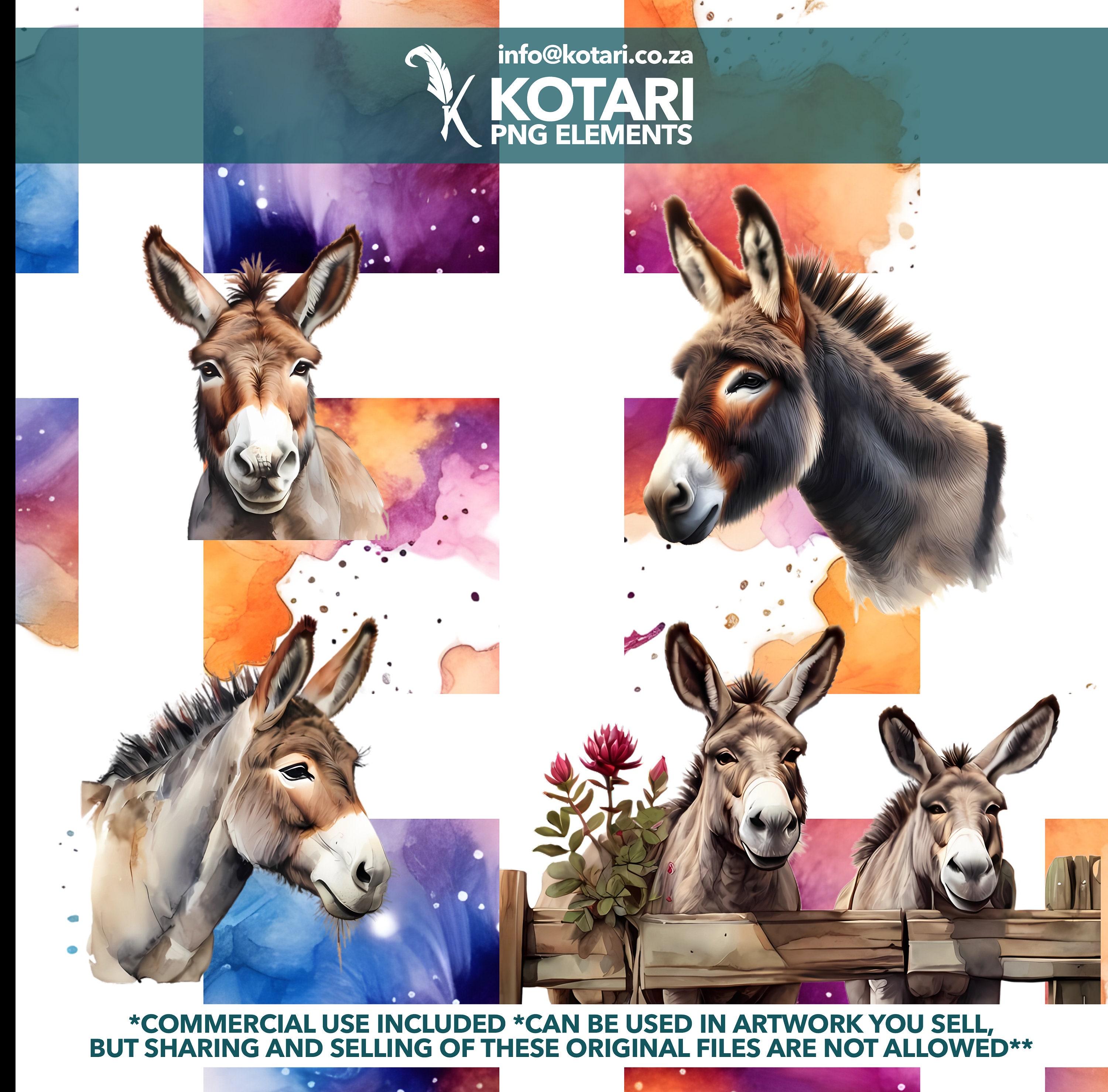 Donkeys - Transparent PNG Clipart - Etsy