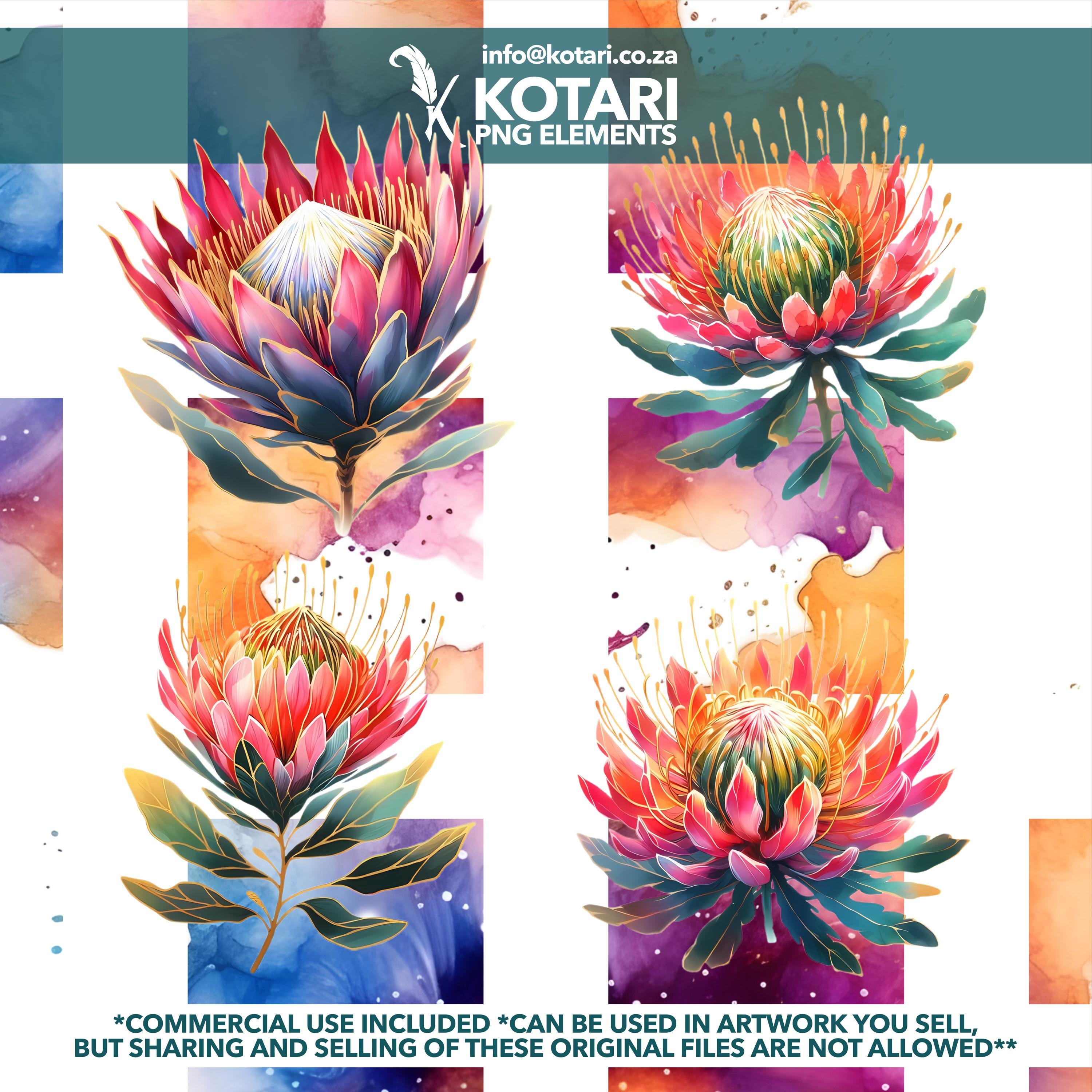 Gold Detail Proteas - Transparent PNG Clipart - Commercial Use - Etsy