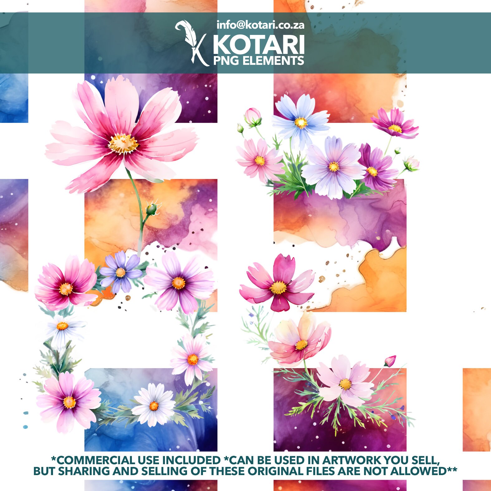 Hand Painted Cosmos Transparent PNG Clipart Commercial Use - Etsy