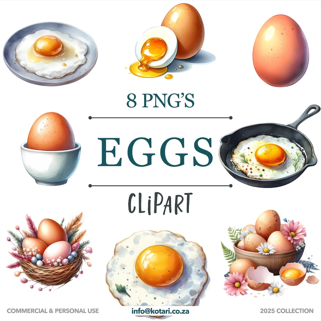 Eggs - Transparent PNG Clipart - Commercial Use - Etsy