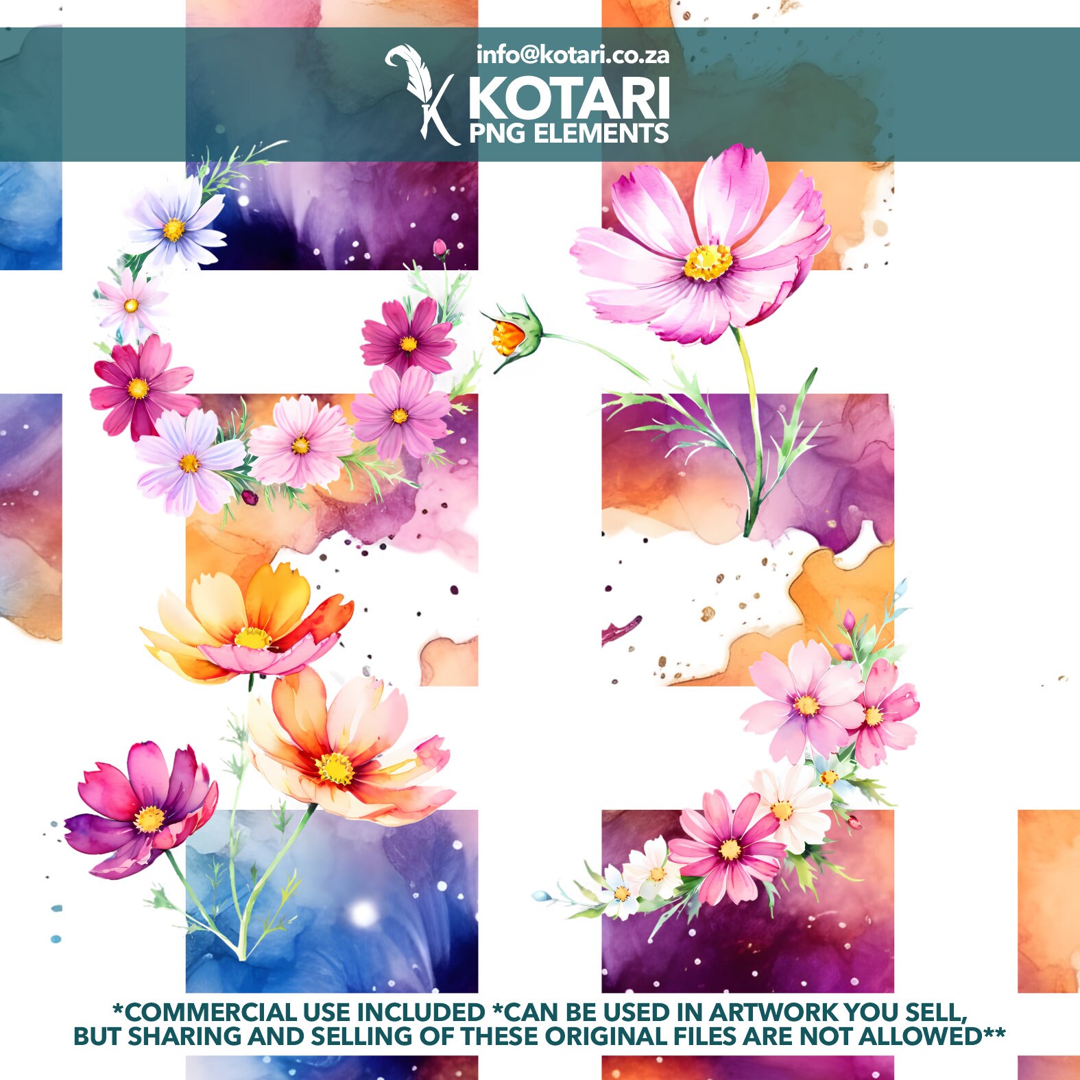 Hand Painted Cosmos Transparent PNG Clipart Commercial Use - Etsy