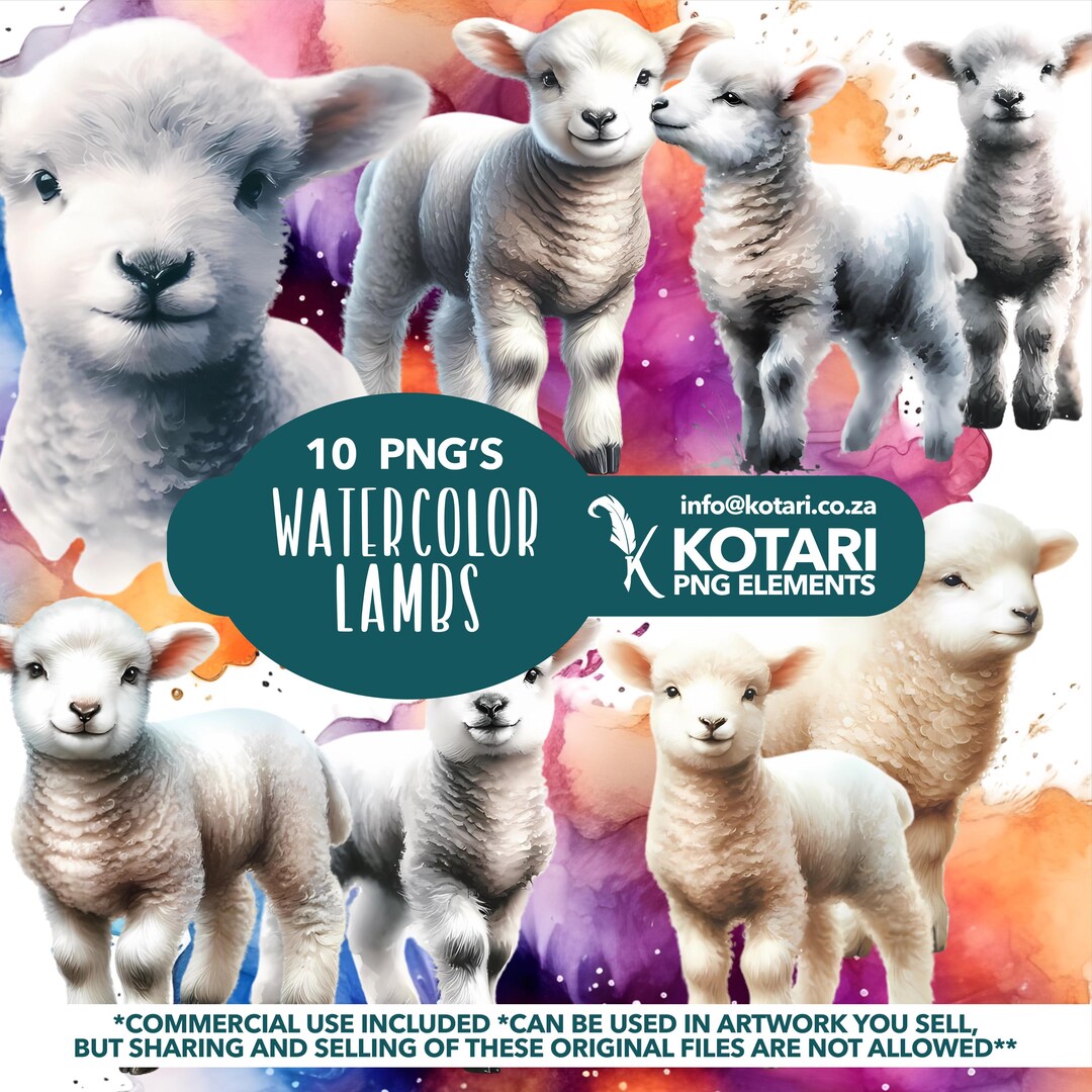 Watercolor Lambs - Transparent PNG Clipart - Commercial Use - Etsy
