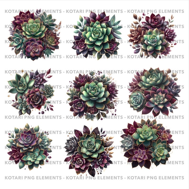 Succulent Clusters - Transparent PNG Clipart - Commercial Use - Etsy