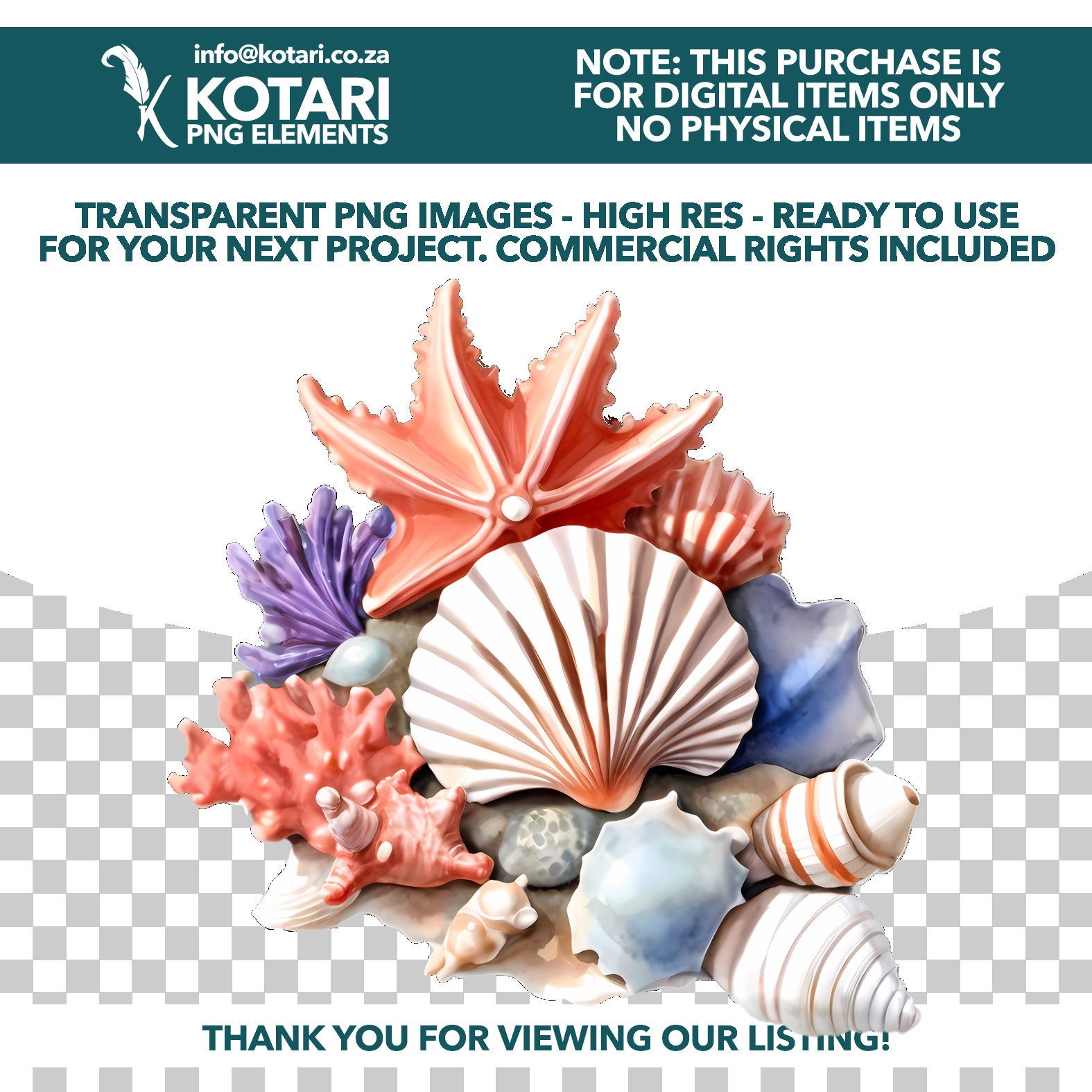 Sea Shells Transparent PNG Clipart Commercial Use - Etsy